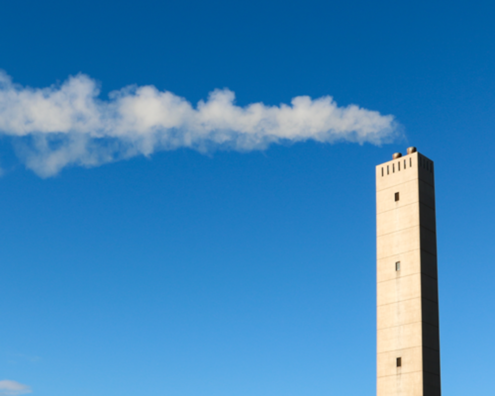 機能に優れたサステナブルな、かみの糸OJO